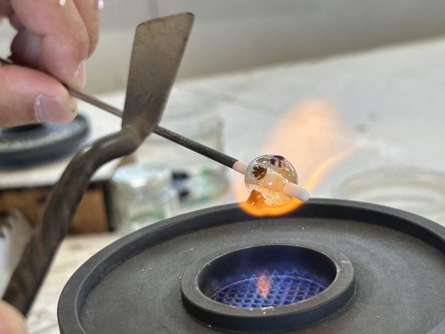 【新潟駅周辺観光】グルメも絶景も！徒歩だけで"いいとこどり"する半日モデルコース